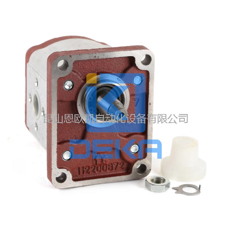 意大利salami齿轮泵2PB11.3DP28P1